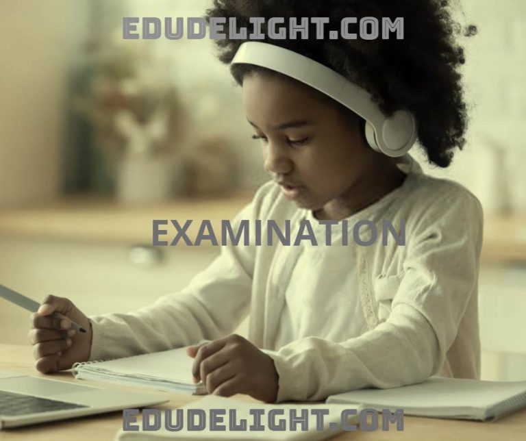 Examination Questions For Nursery Two 2 First Term Edudelight Store examination-questions-for-nursery-two-2-first-term-edudelight-store