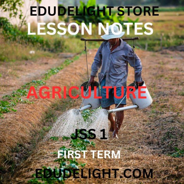 Lesson Note Edudelight Store
