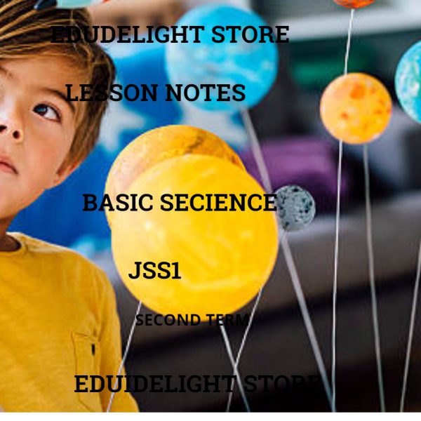 JSS Lesson Notes Second Term - Edudelight Store